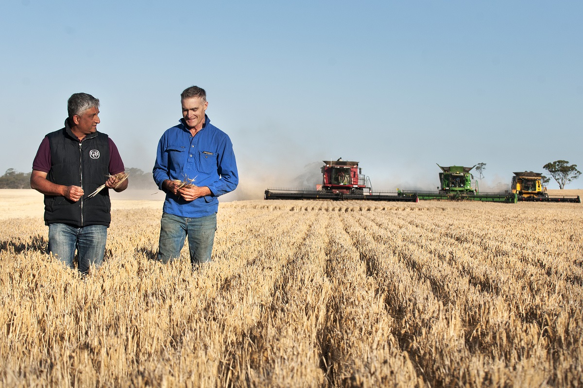 Asahi to source barley from Australian farmers - The Shout